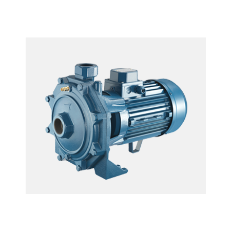 Bombas centrífuga monobloc Caprari CB750T